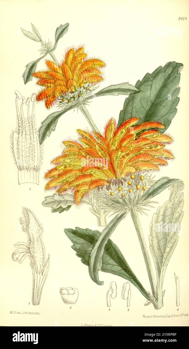 Detailed labeled parts hi-res stock photography and images - Alamy