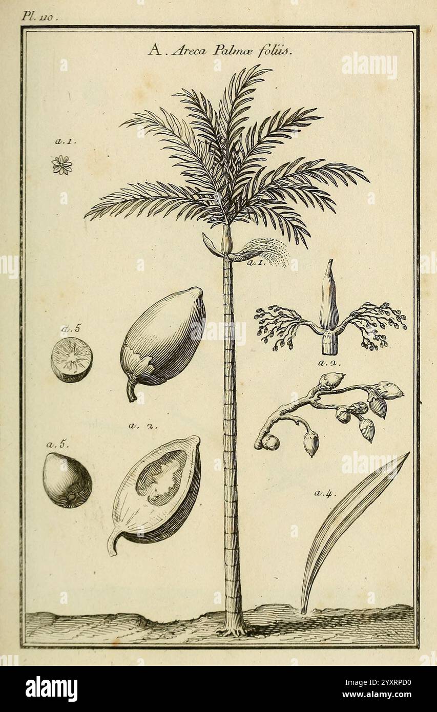 Les figures des plantes et animaux d'usage en medicine, Paris, Desprez ...