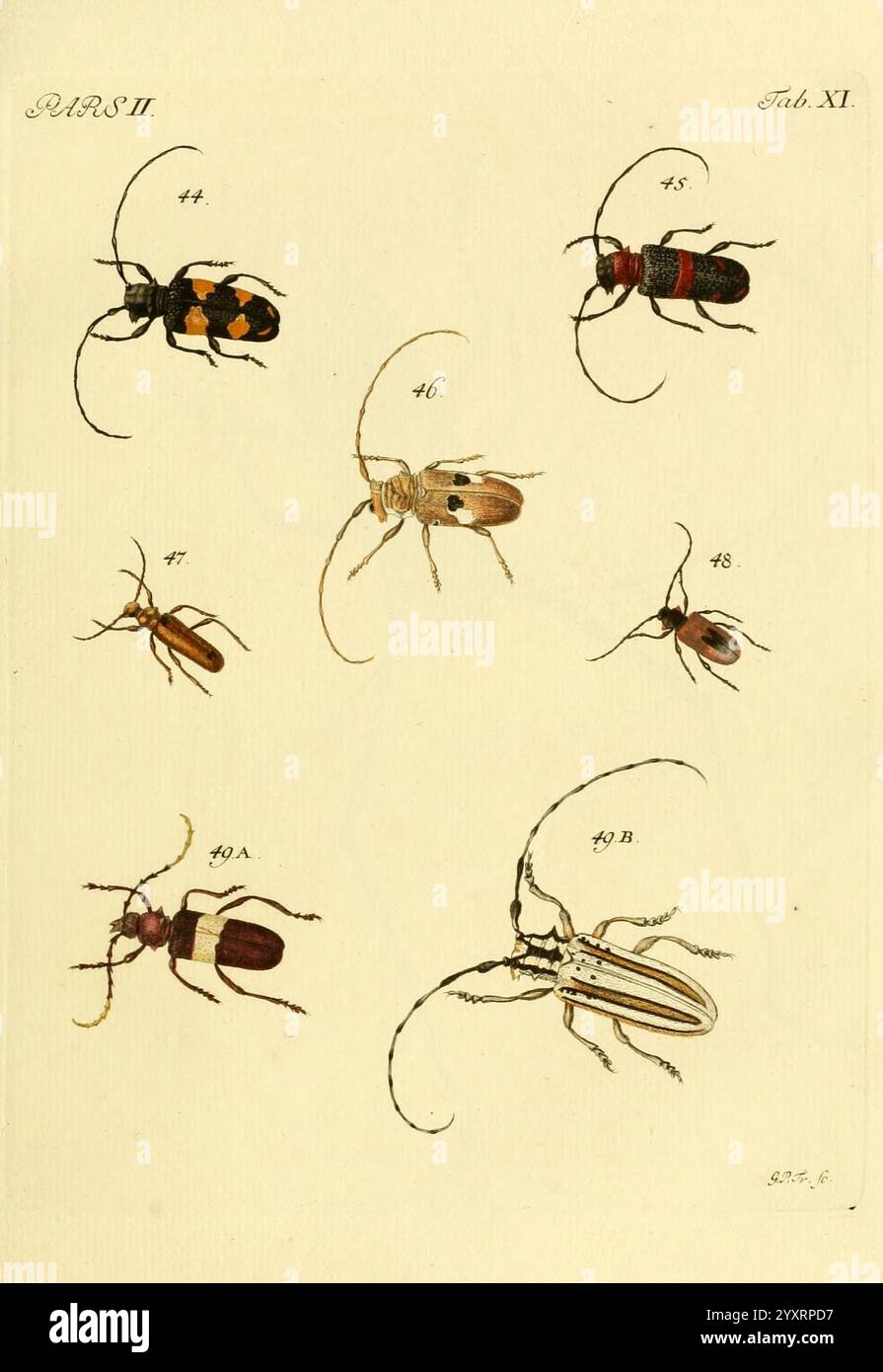 Seven specimens hi-res stock photography and images - Alamy