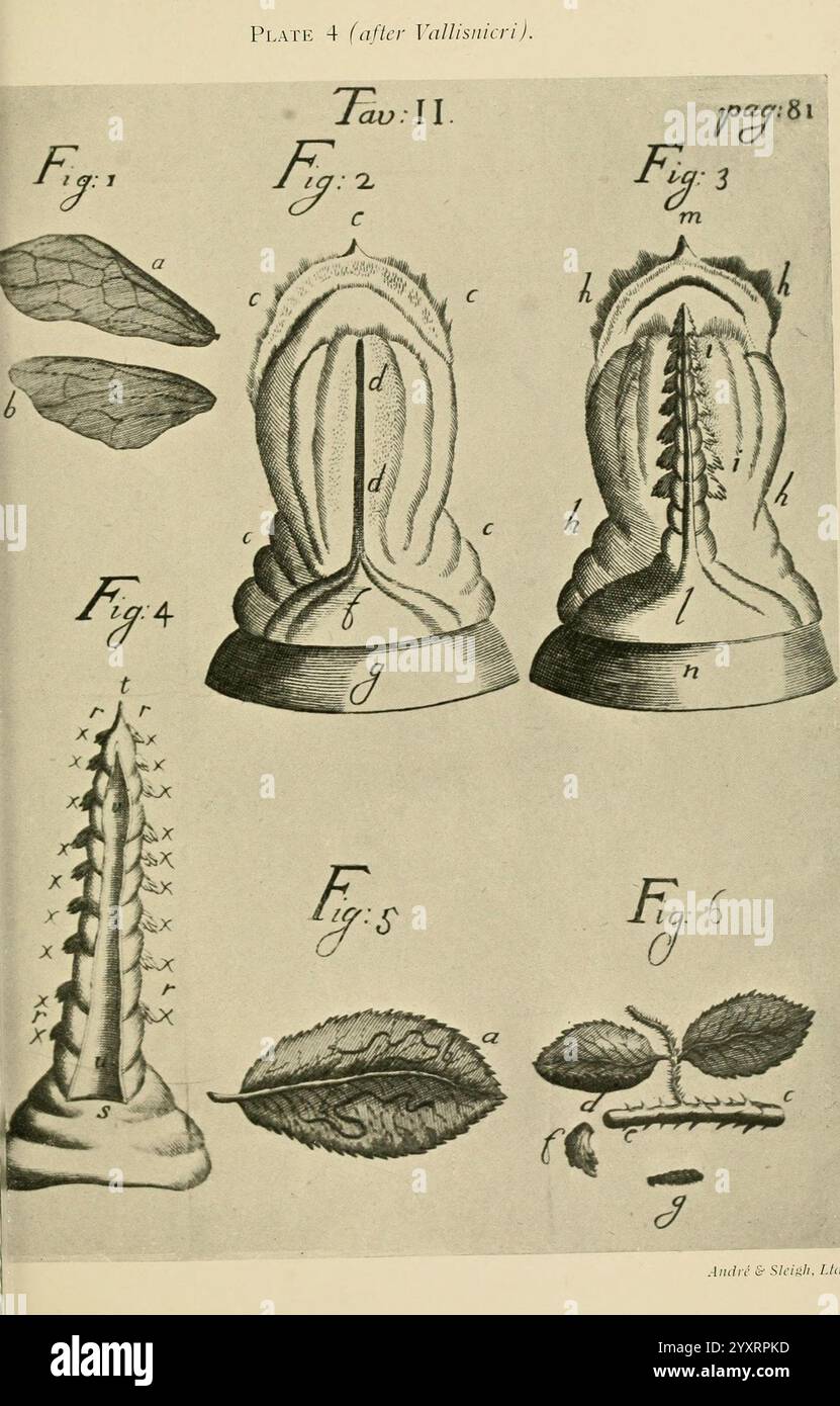 Top left section displays hi-res stock photography and images - Alamy