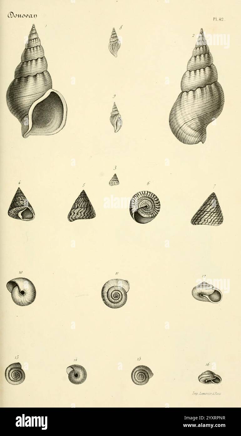 Top section displays elongated hi-res stock photography and images - Alamy