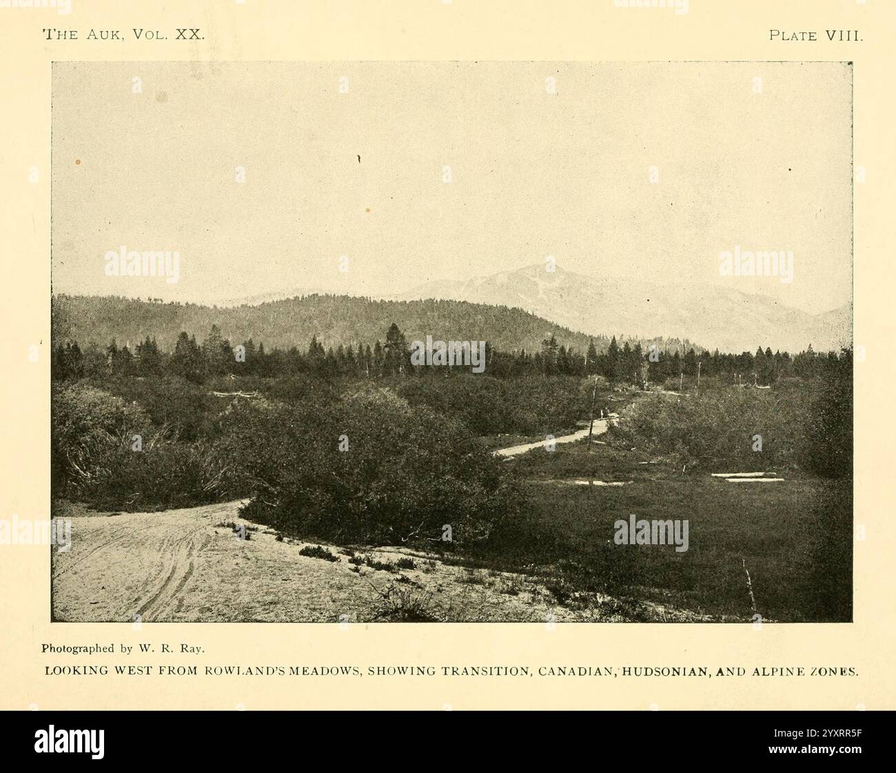 Gentle slopes lush green mountains hi-res stock photography and images ...