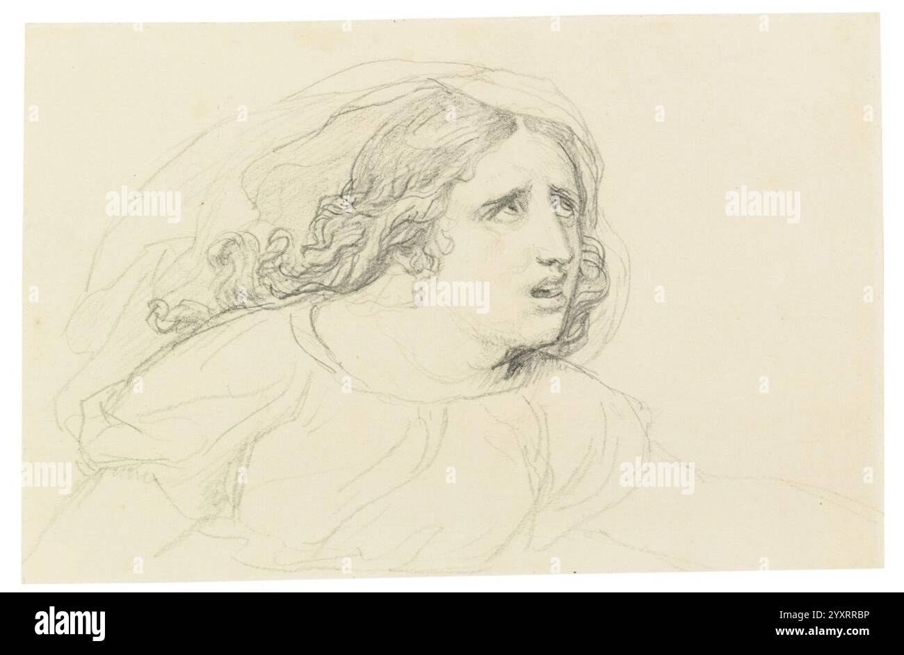 David - Study of a veiled woman, three quarter profile, facing right Stock Photo - Alamy