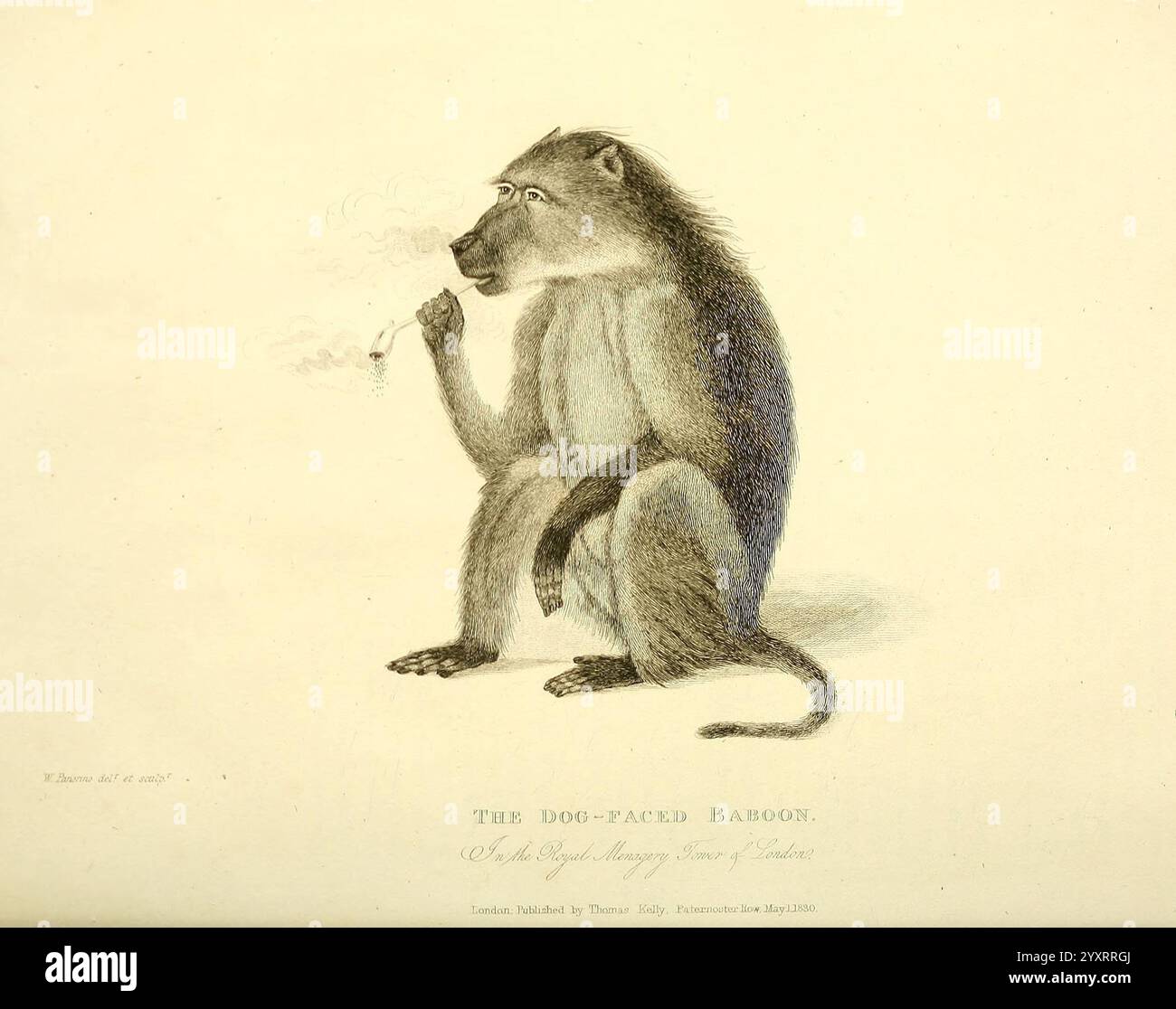 The wonders of the animal kingdom, London, T. Kelly, 1830, Great ...