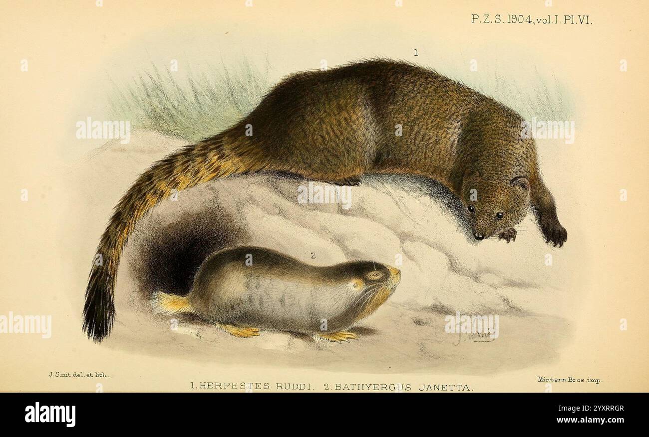 Proceedings of the Zoological Society of London, London, Academic Press ...