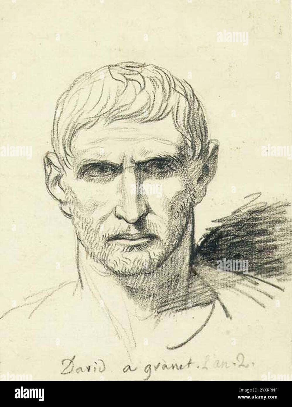 David - The head of a bearded man after a Roman bust, 1825139 Stock ...