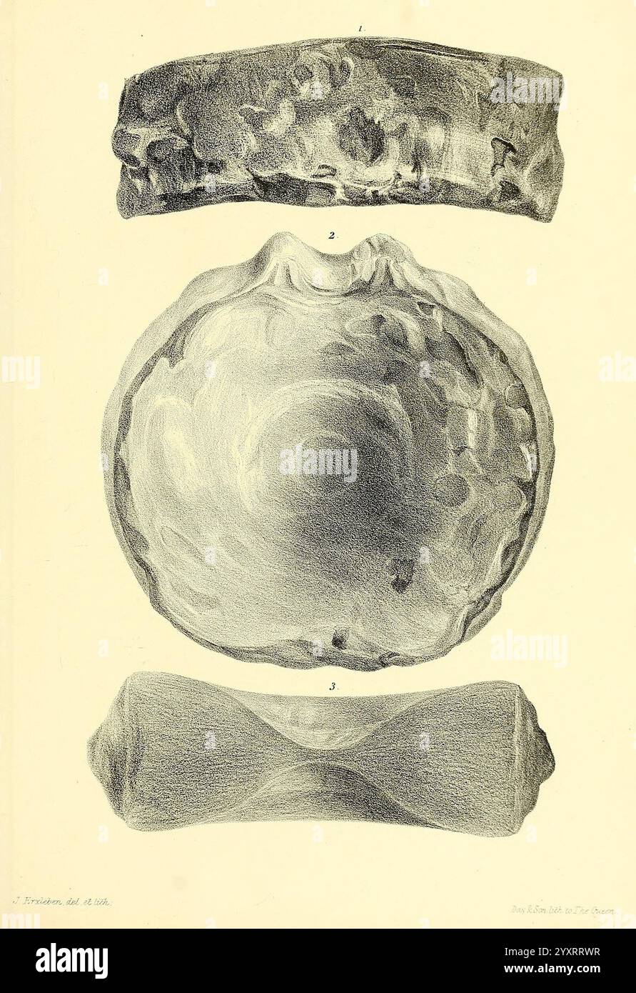 Smooth dome on the top hi-res stock photography and images - Alamy