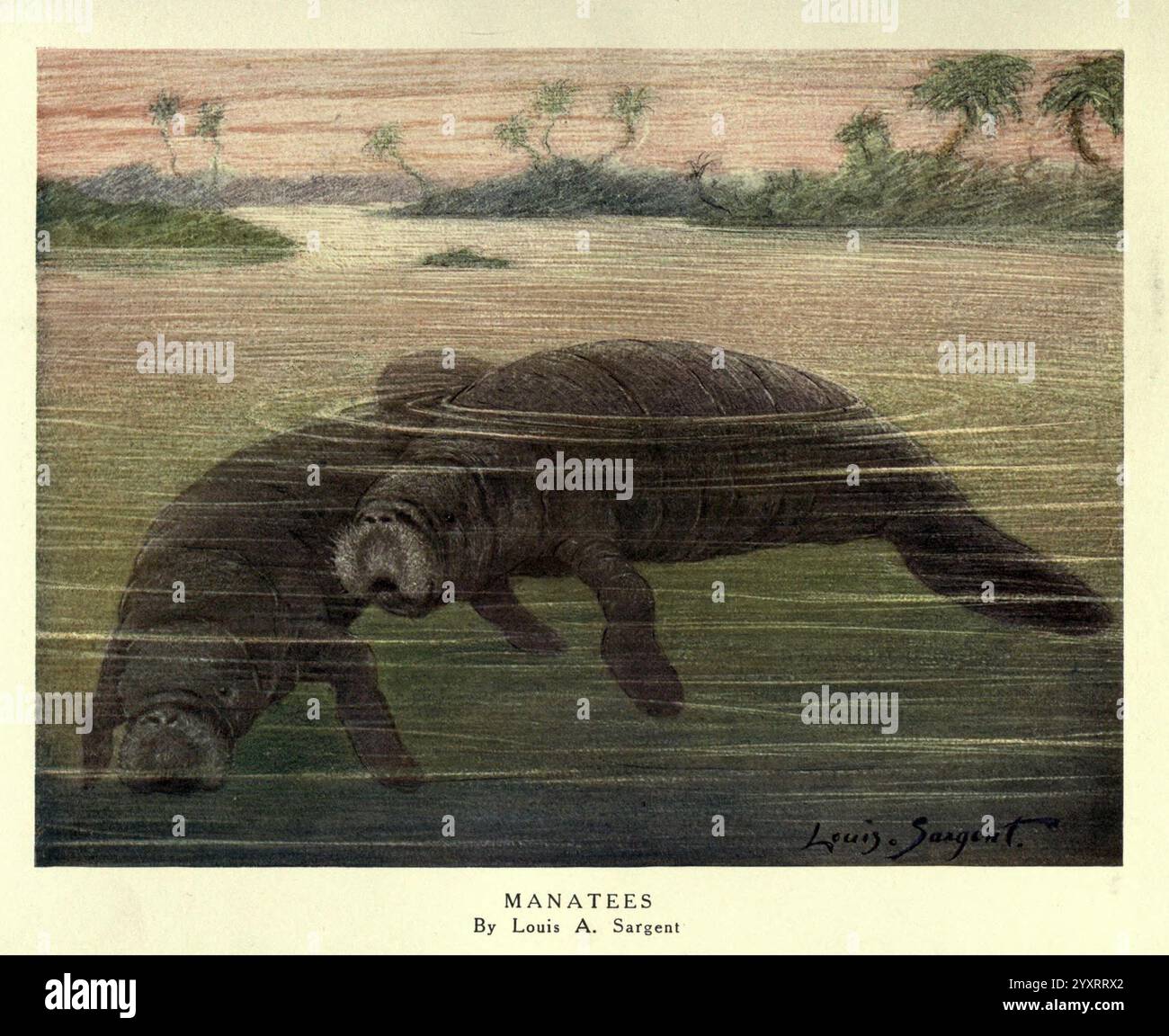 Daily sci art hi-res stock photography and images - Alamy