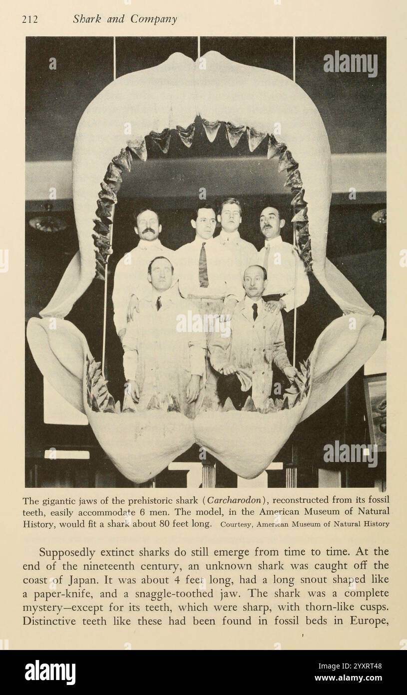 Shadows in the sea Philadelphia, Chilton Books [1963], shark, woodshole ...