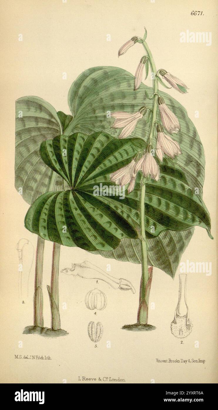 Showcasing tubular shapes hi-res stock photography and images - Alamy