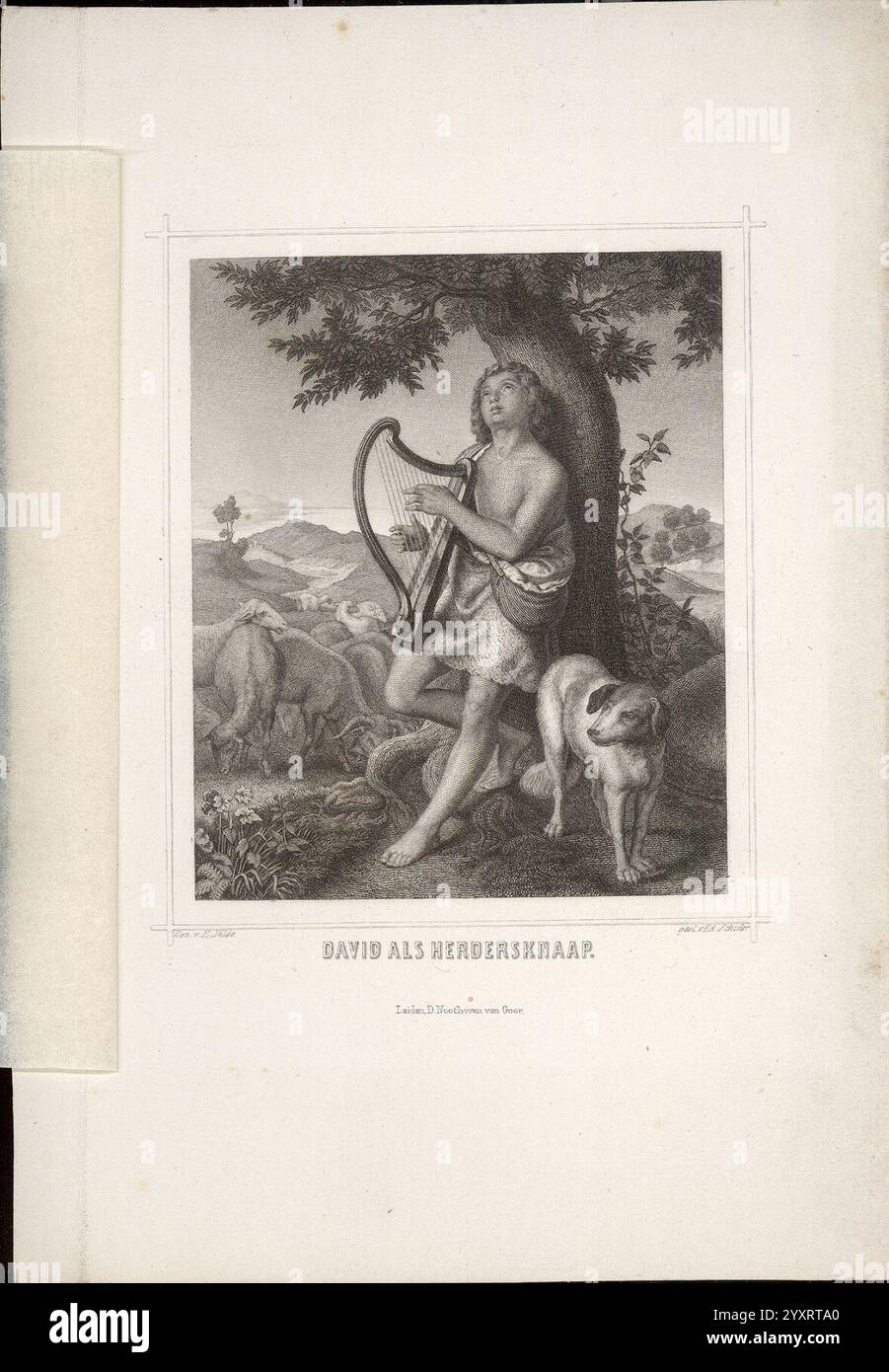 David als herdersknaap, objectnr A 58524 Stock Photo - Alamy