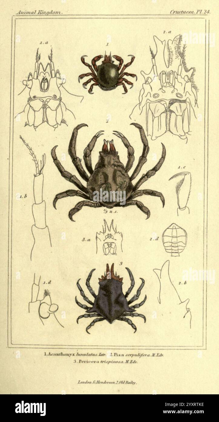 Labeled diagrams include hi-res stock photography and images - Alamy