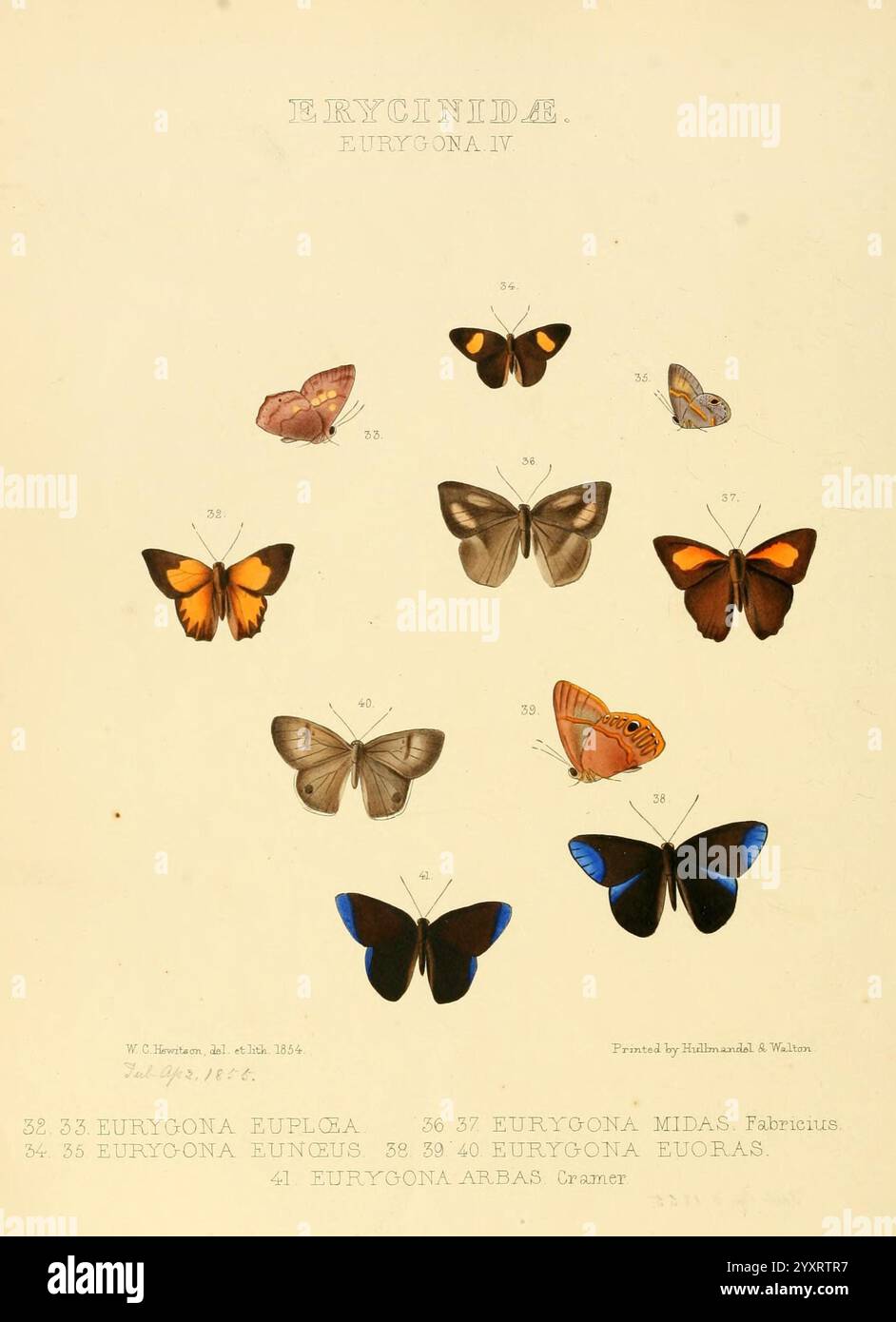 Respective catalog number hi-res stock photography and images - Alamy