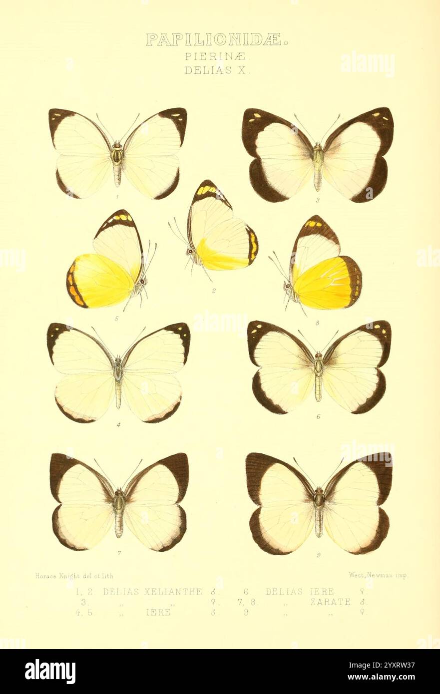 Detailed labels indicating hi-res stock photography and images - Alamy