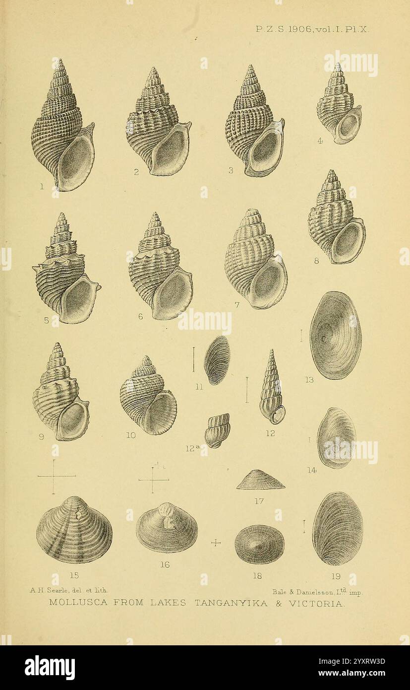 Proceedings of the Zoological Society of London, London, Academic Press ...