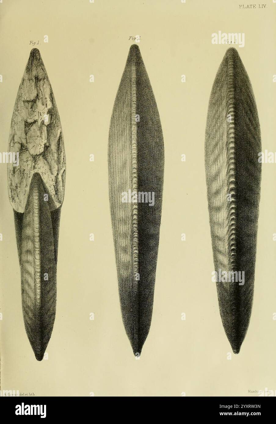 Leftmost figure labeled hi-res stock photography and images - Alamy