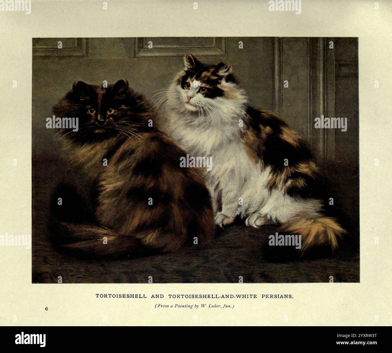 The book of the cat London, Cassell and Company, Limited, 1903. cats ...