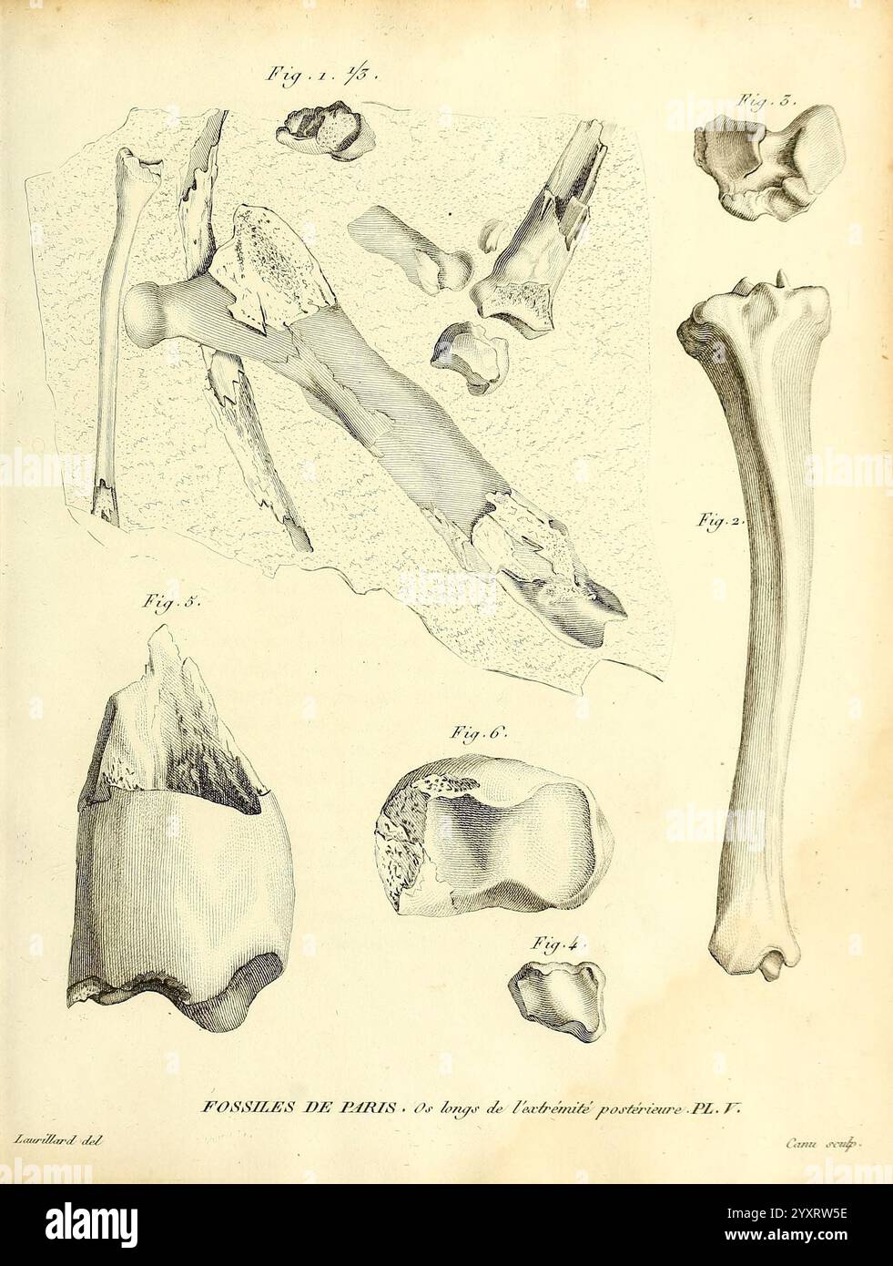 Rounded joints hi-res stock photography and images - Alamy