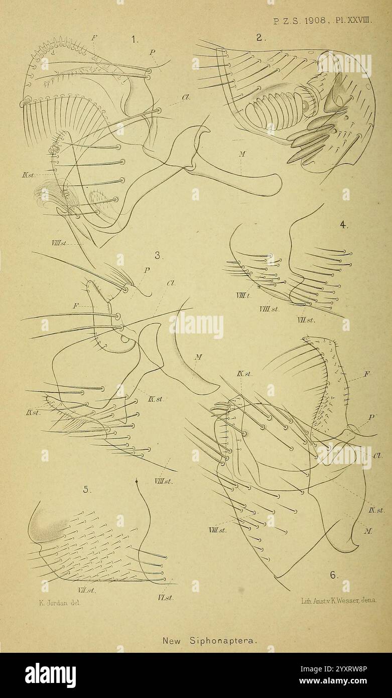 Proceedings of the Zoological Society of London, London, Academic Press ...