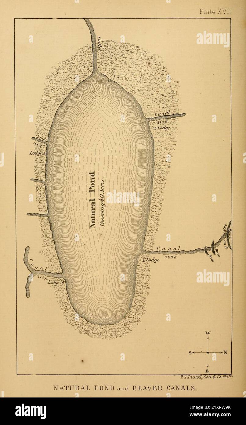 The American beaver and his works. Philadelphia, J.B. Lippincott & Co ...