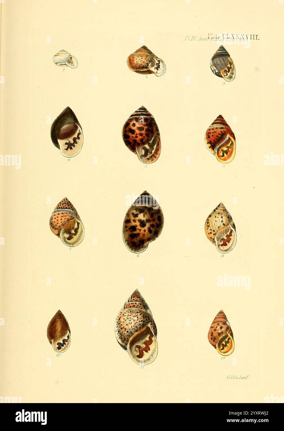 Natural wonders highlight hi-res stock photography and images - Alamy