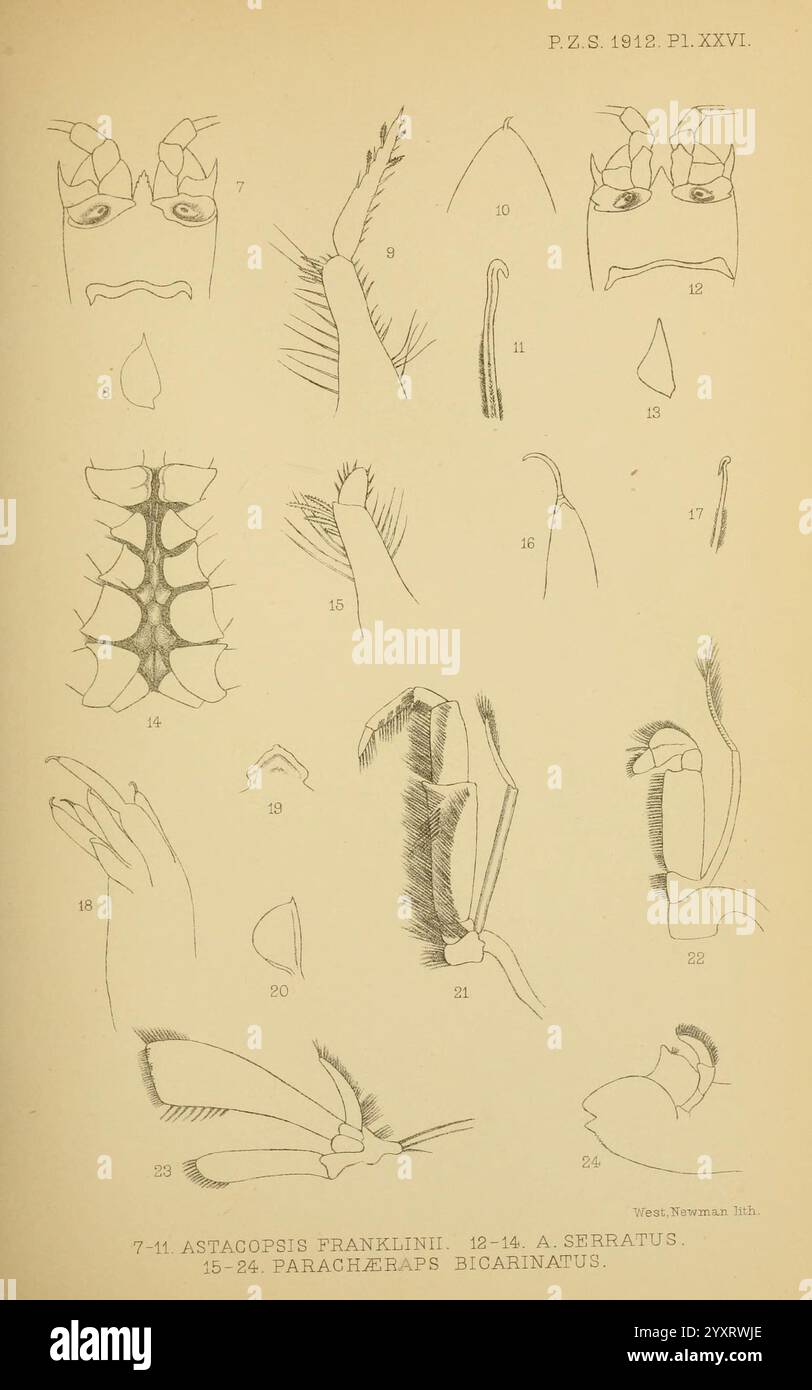 Aspects labeled hi-res stock photography and images - Alamy
