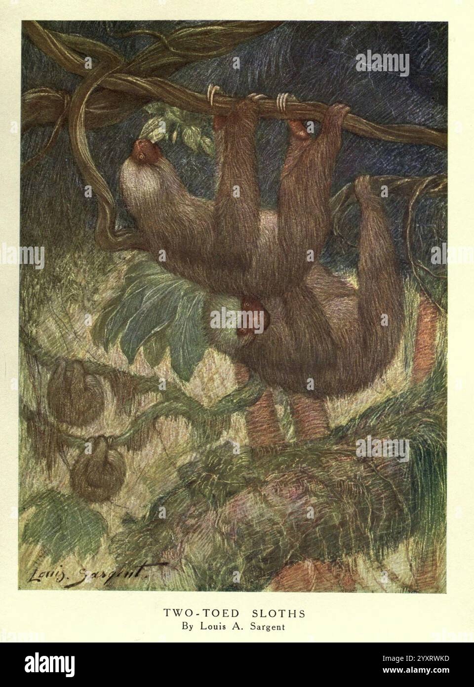 Vibrant background hints hi-res stock photography and images - Alamy