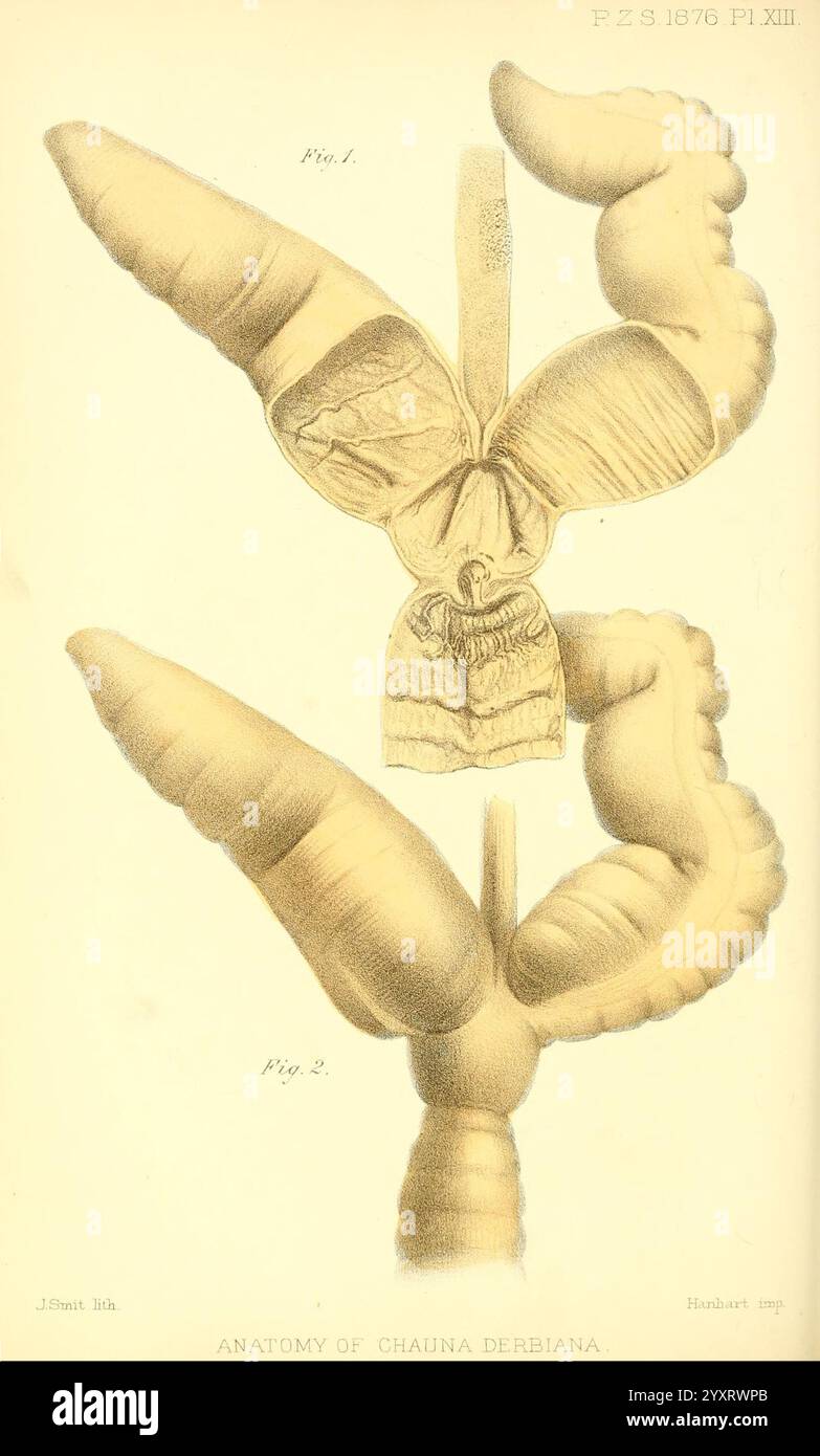 Proceedings of the Zoological Society of London, London, Academic Press ...