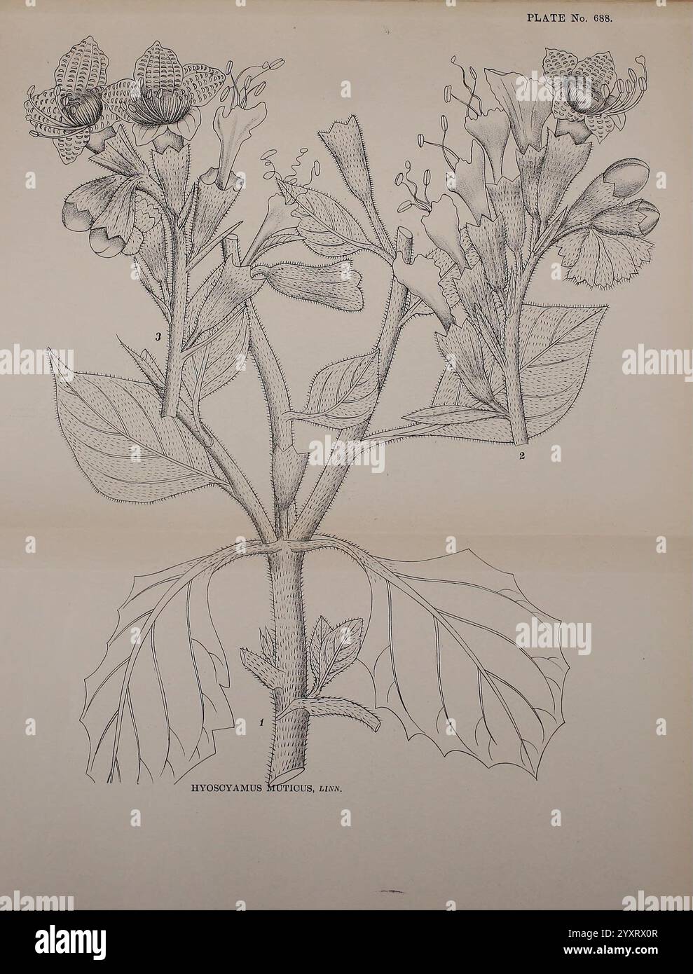 Artwork features detailed renderings hi-res stock photography and ...