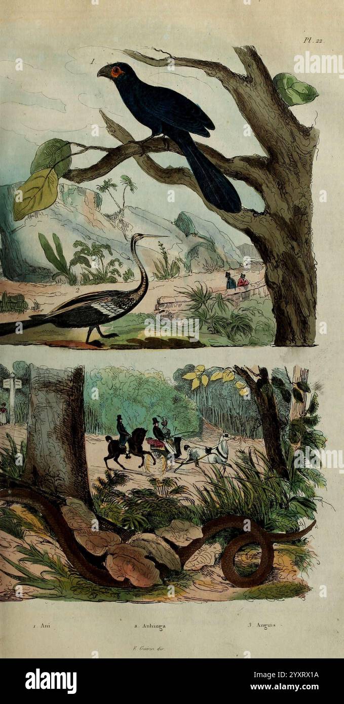 Two distinct sections hi-res stock photography and images - Alamy