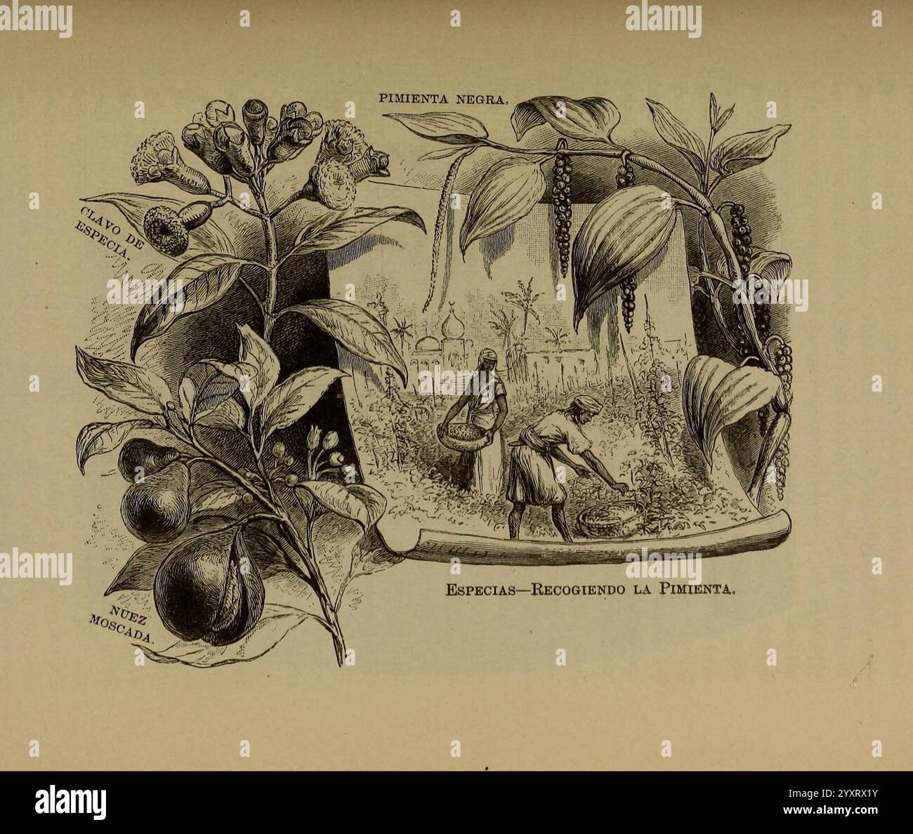 Identifying different elements hi-res stock photography and images - Alamy