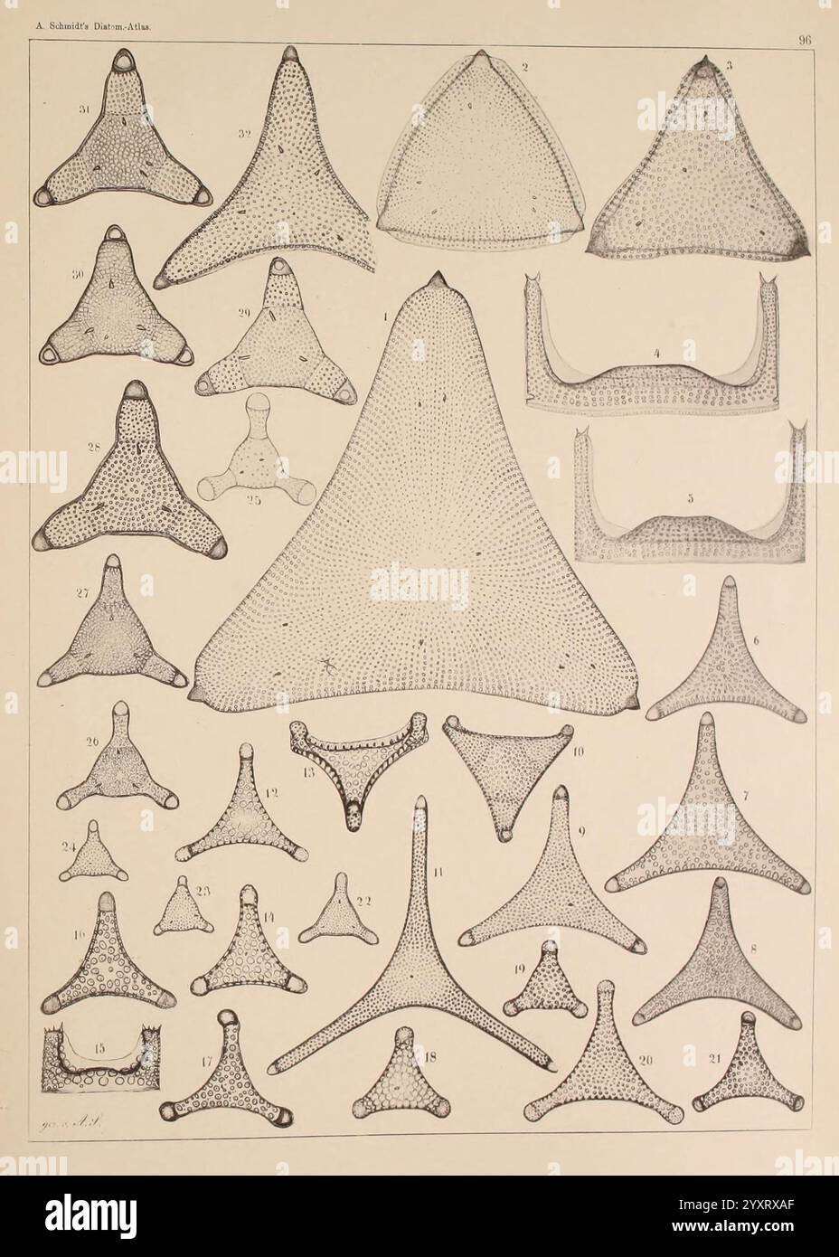 Resembling various forms hi-res stock photography and images - Alamy
