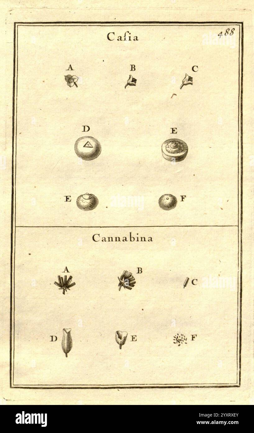 Section displays diverse elements hi-res stock photography and images ...