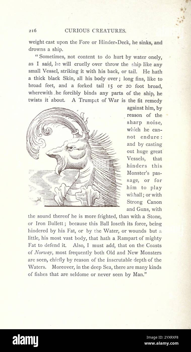 Curious creatures in zoology London John C. Nimmo 1890 Halloween ...