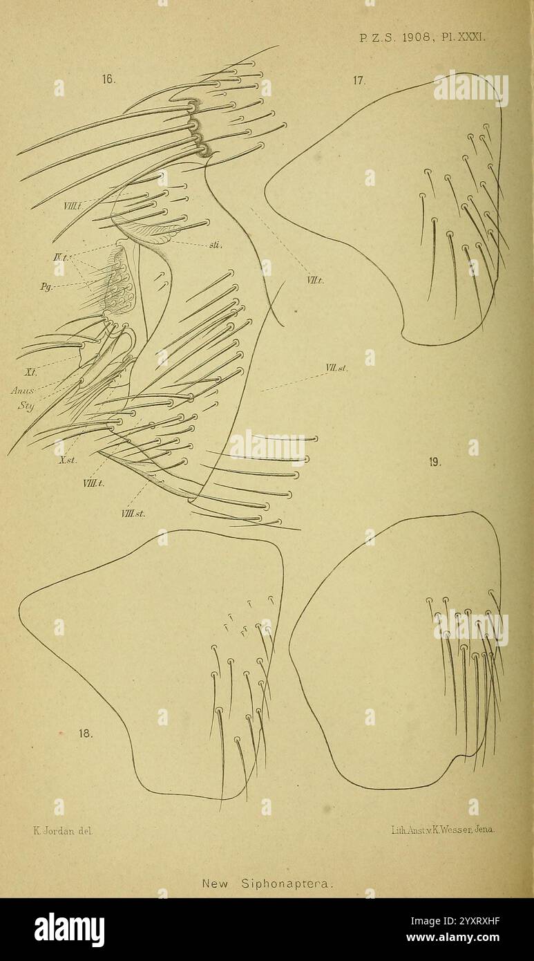 Scientific line drawings hi-res stock photography and images - Alamy
