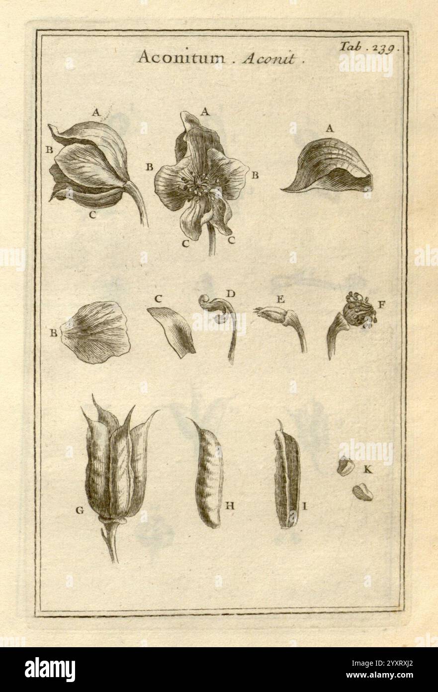 Joseph Pitton de Tournefort Institutiones rei herbariae Parisiis E ...
