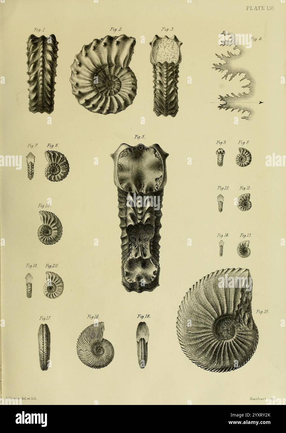 Unique spiral formations hi-res stock photography and images - Alamy