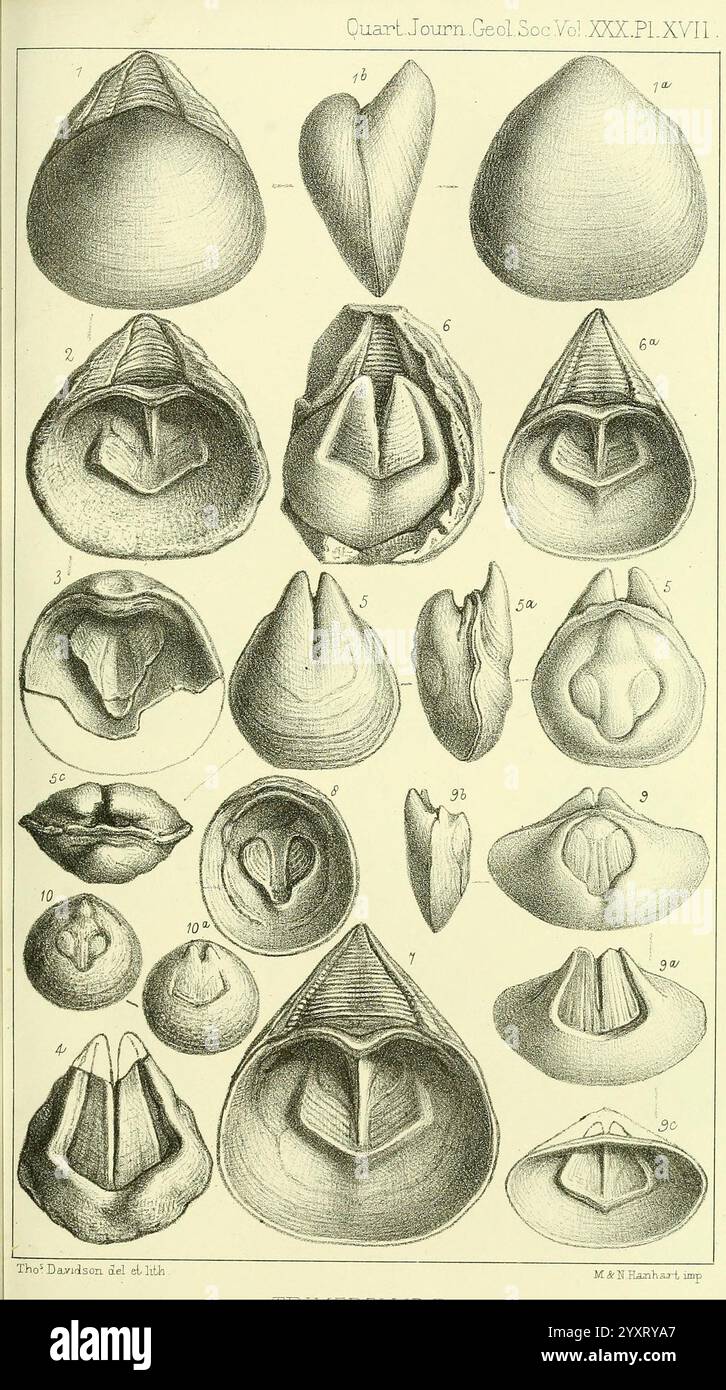 The Quarterly Journal of the Geological Society of London, v. 30 (1874 ...