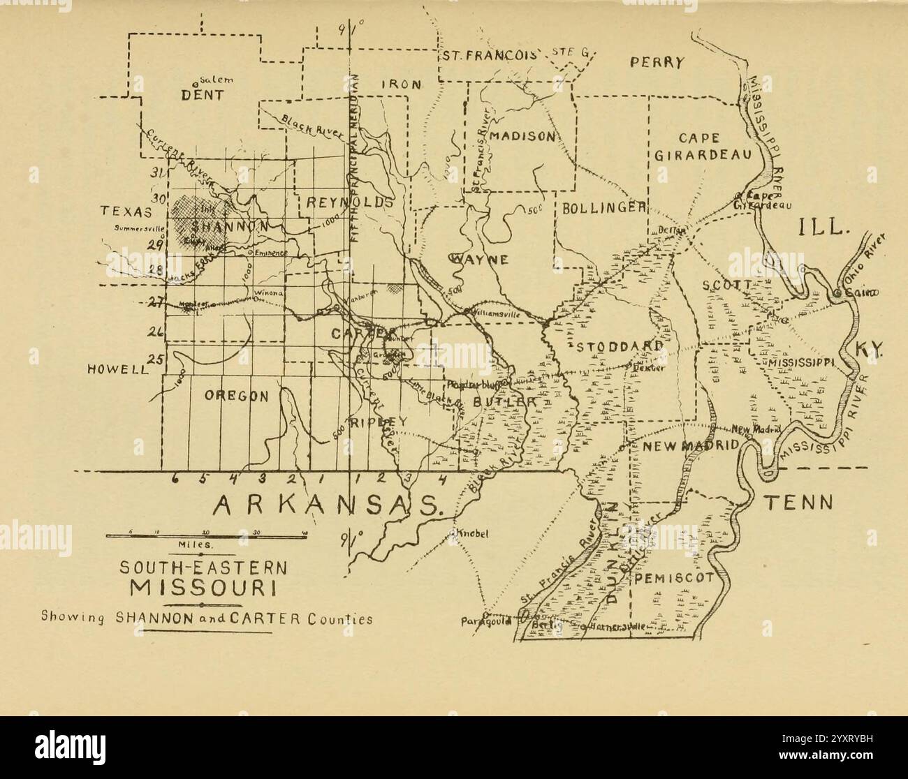 The, Auk, Washington, D.C, American, Ornithologists', Union, 1884, birds, periodicals, This ...