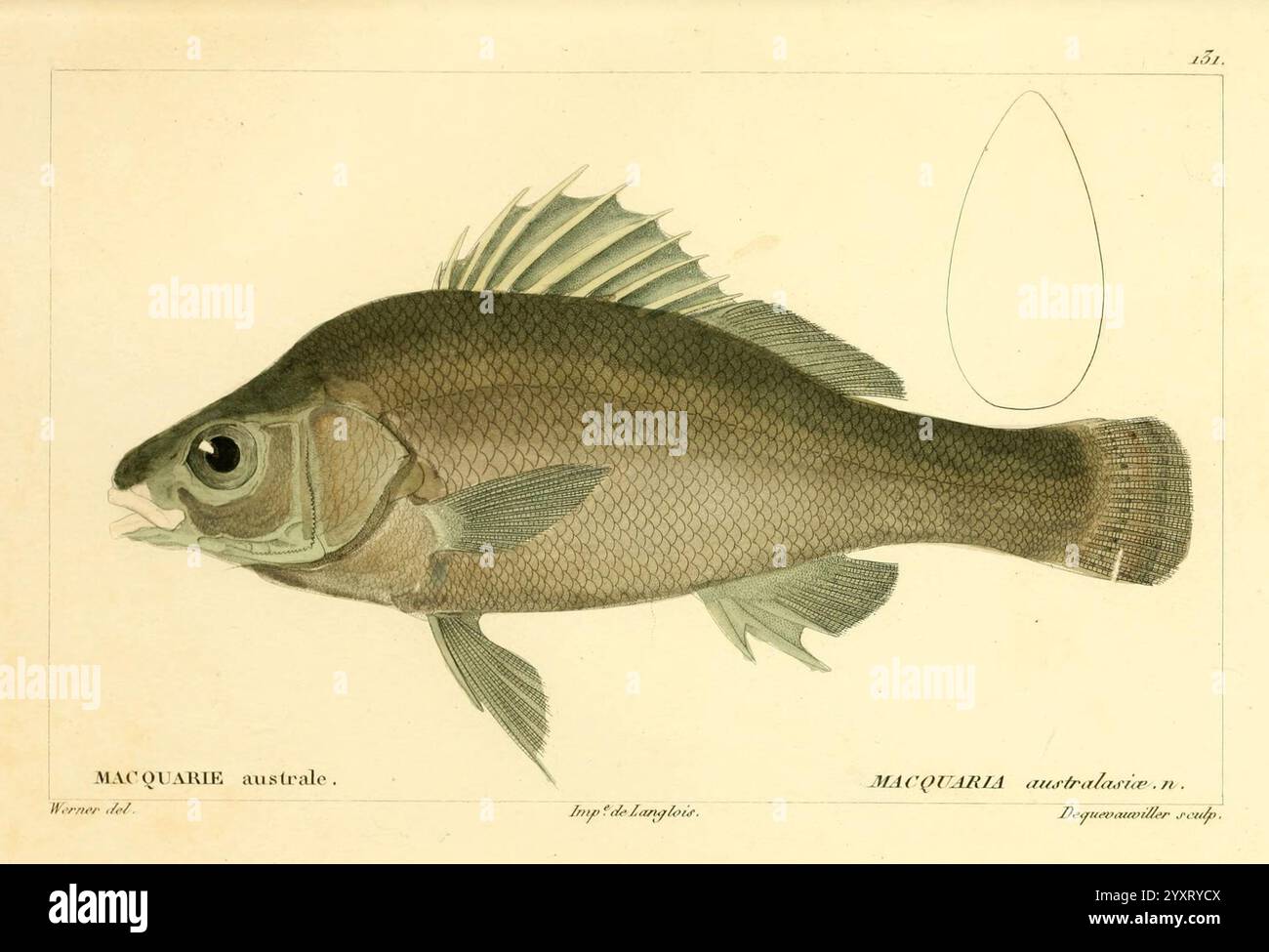 Another anatomical detail hi-res stock photography and images - Alamy