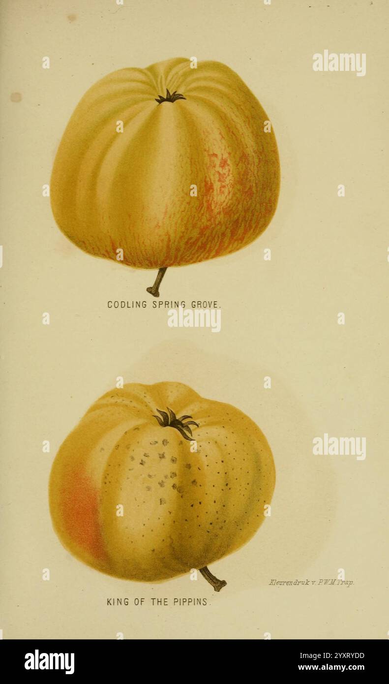 Slightly bumpy texture hi-res stock photography and images - Alamy