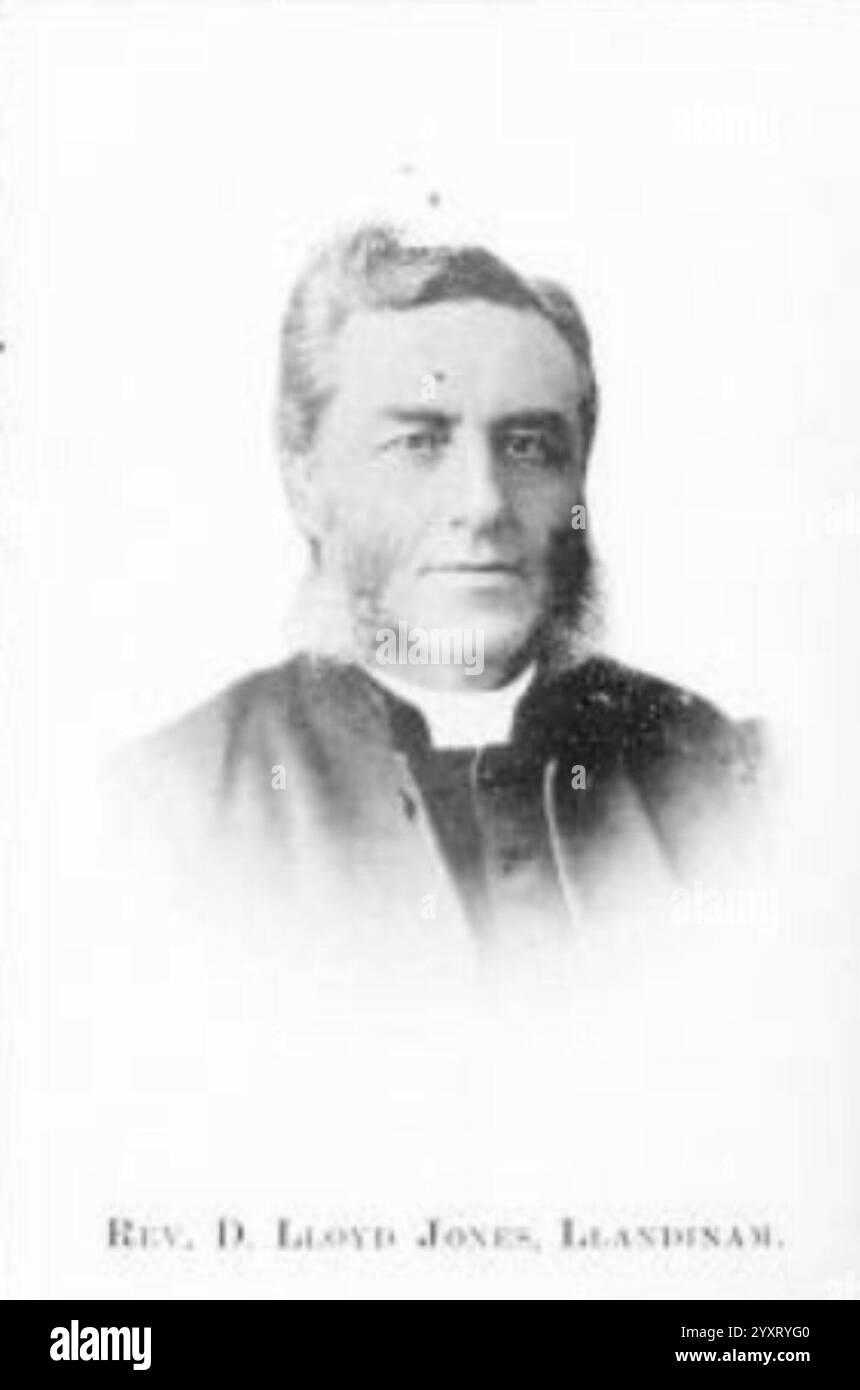 David Lloyd Jones Llandinam Stock Photo - Alamy