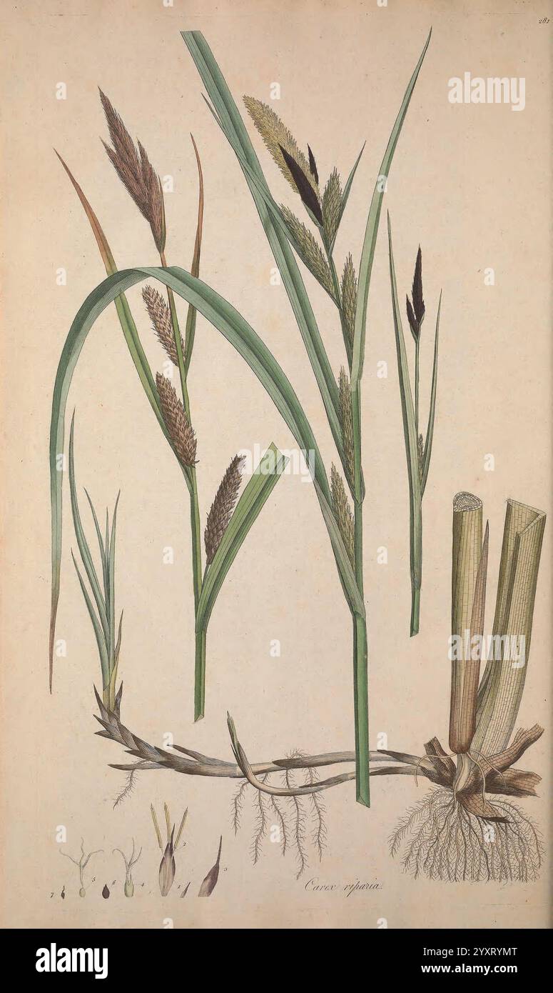 Signify different stages hi-res stock photography and images - Alamy