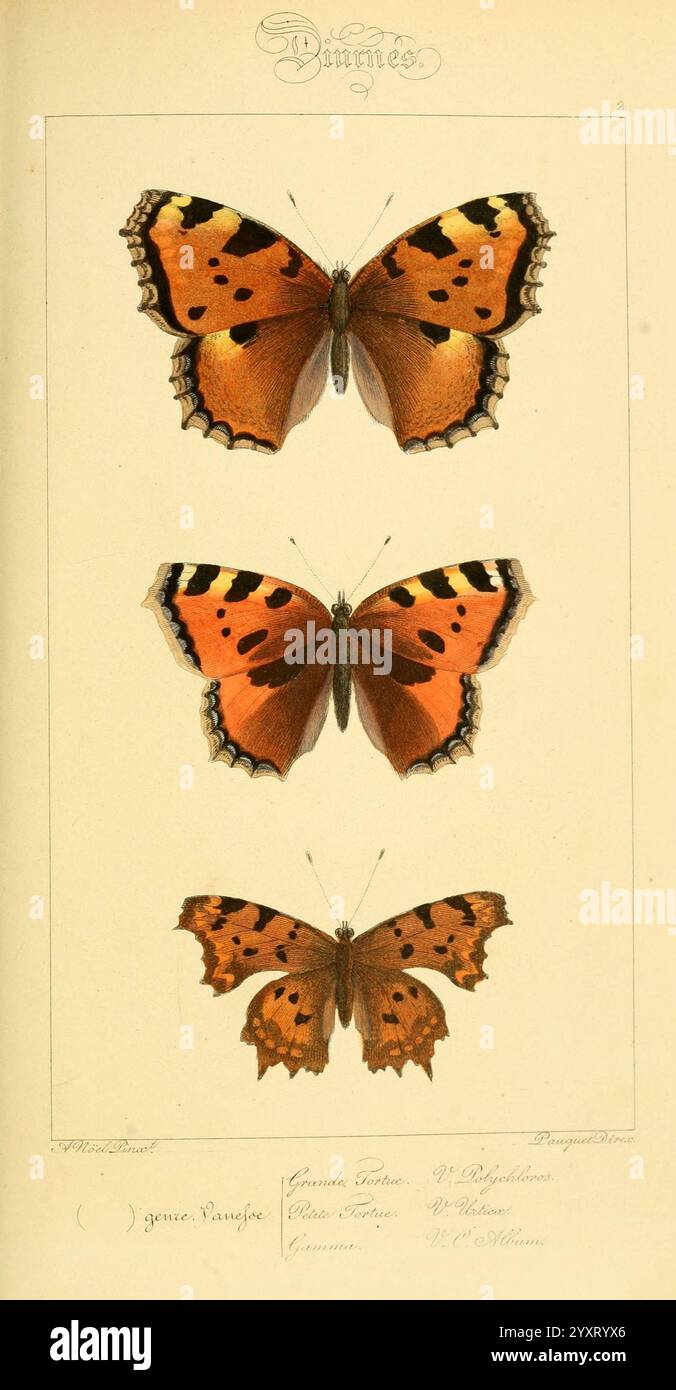 Middle specimen exhibits hi-res stock photography and images - Alamy