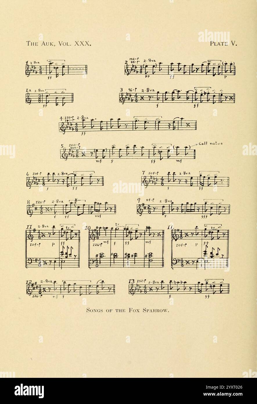 Layout presents various musical phrases hi-res stock photography and ...