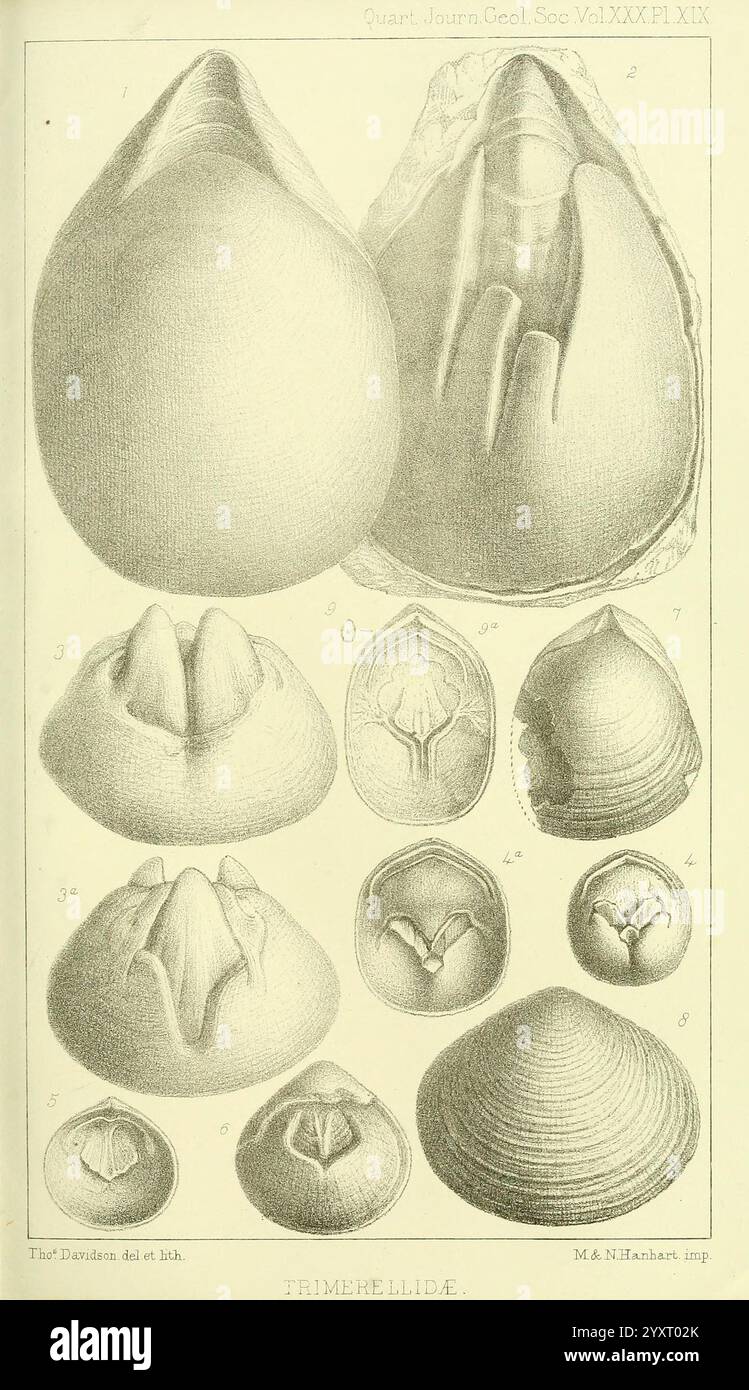 Geological features represented hi-res stock photography and images - Alamy