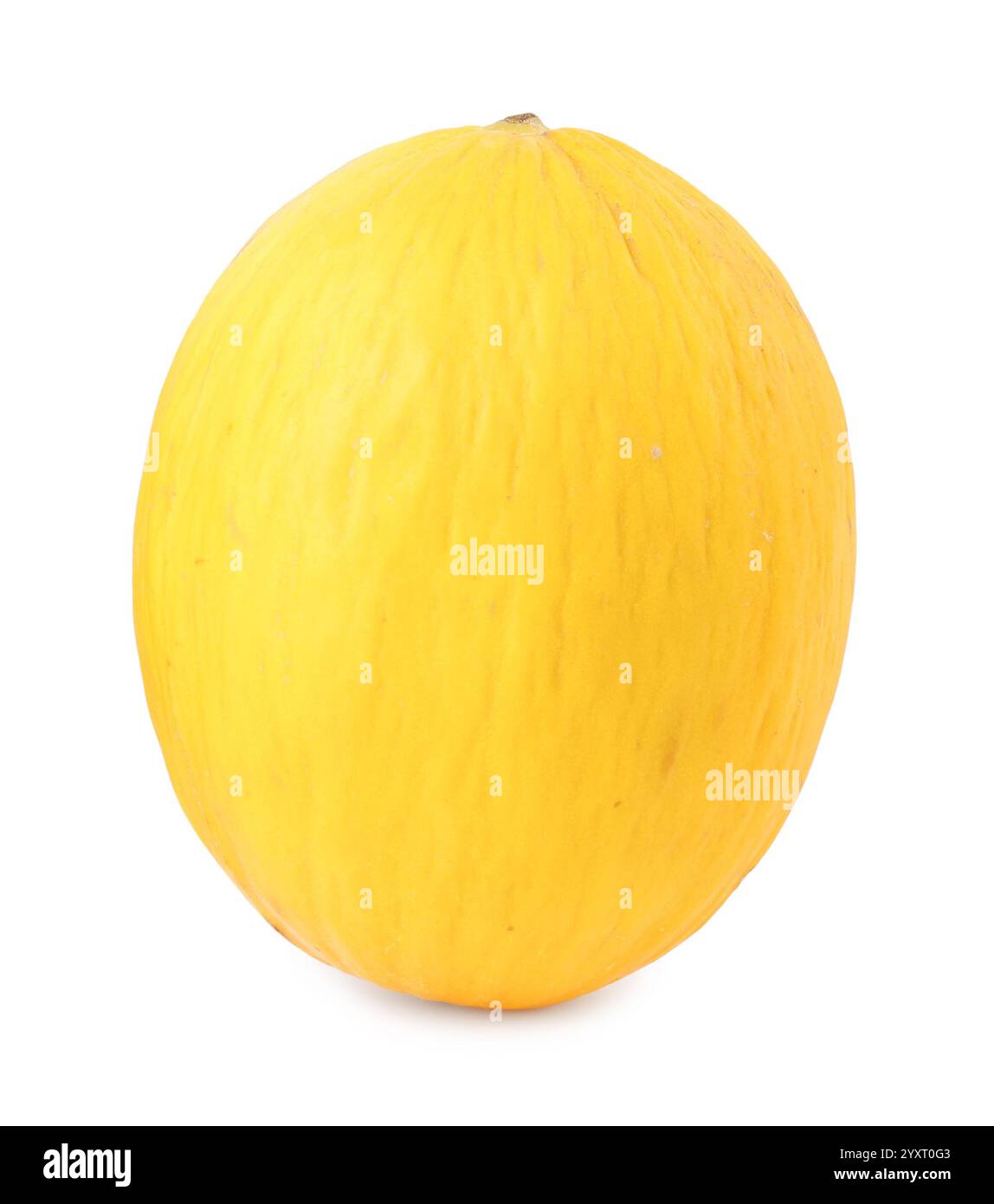 One whole ripe melon isolated on white Stock Photo - Alamy