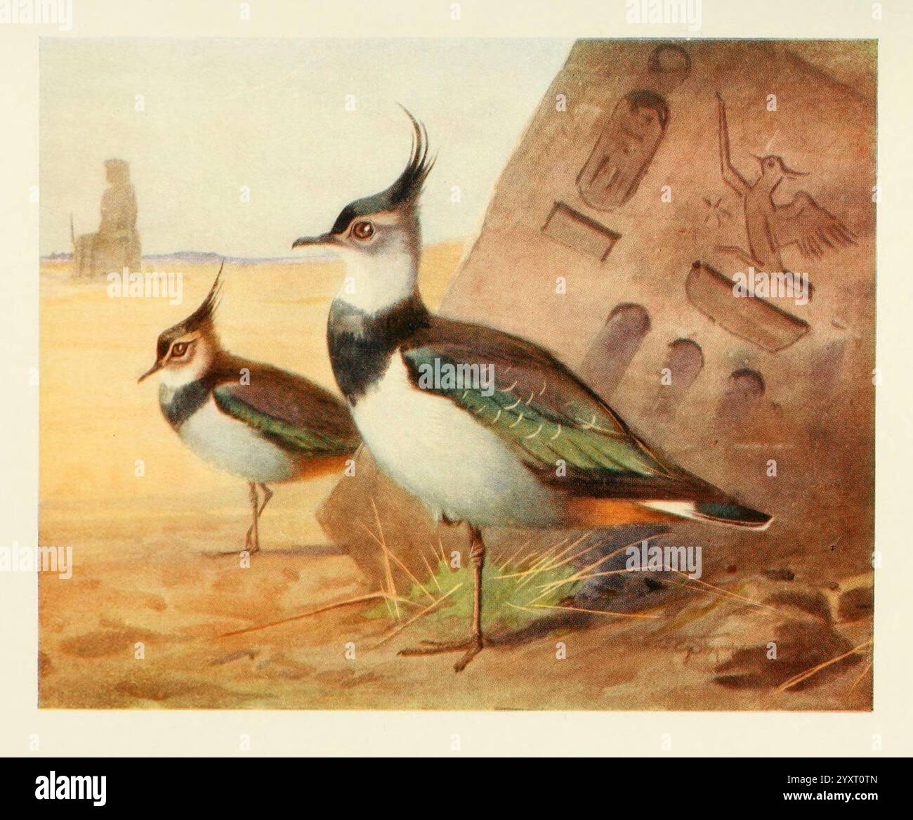 Captures mome hi-res stock photography and images - Alamy