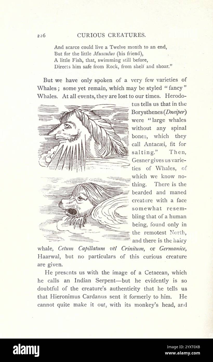 Curious creatures in zoology London John C. Nimmo 1890 halloween ...