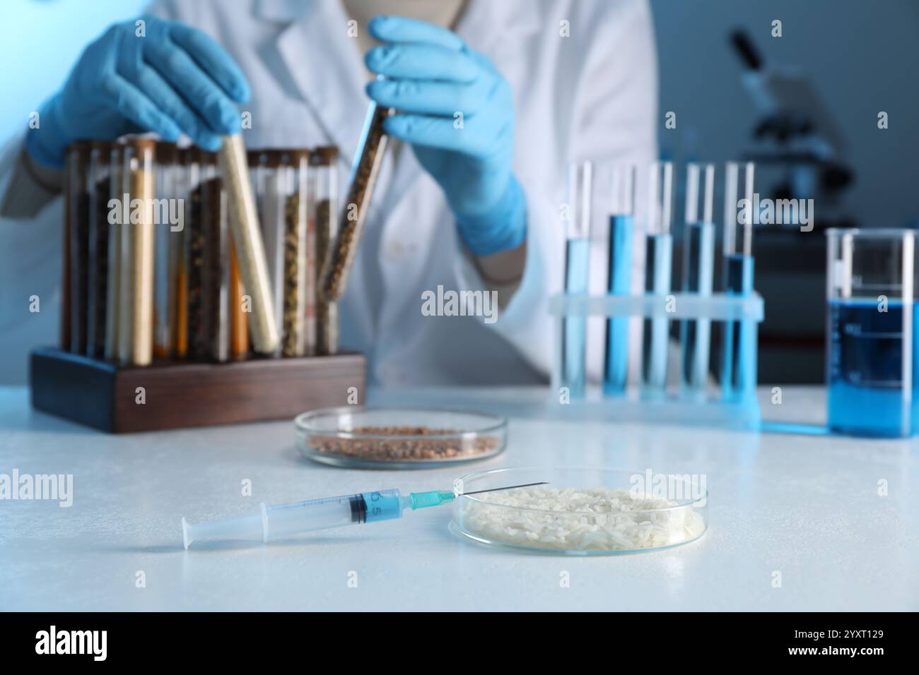 GMO concept. Scientist taking test tubes at table in laboratory, focus ...